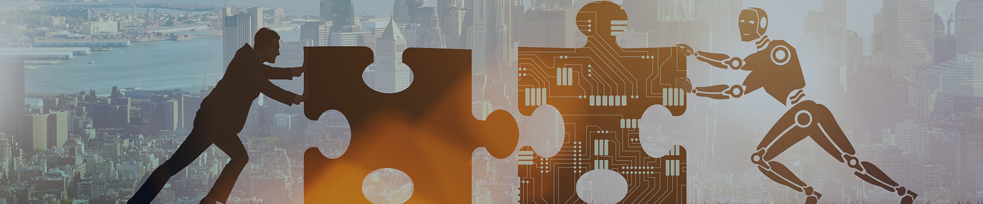 Custom Solutions - FieldWise