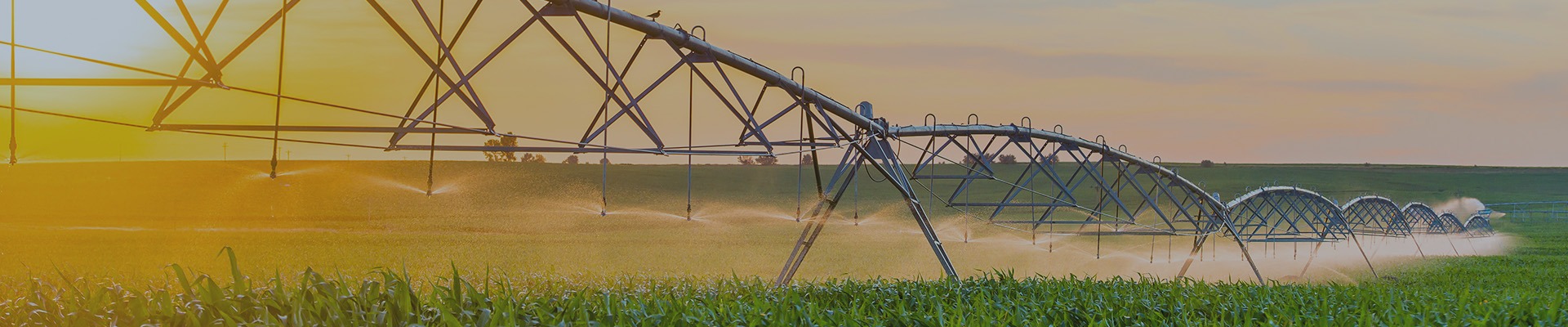 Tower IQ - FieldWise